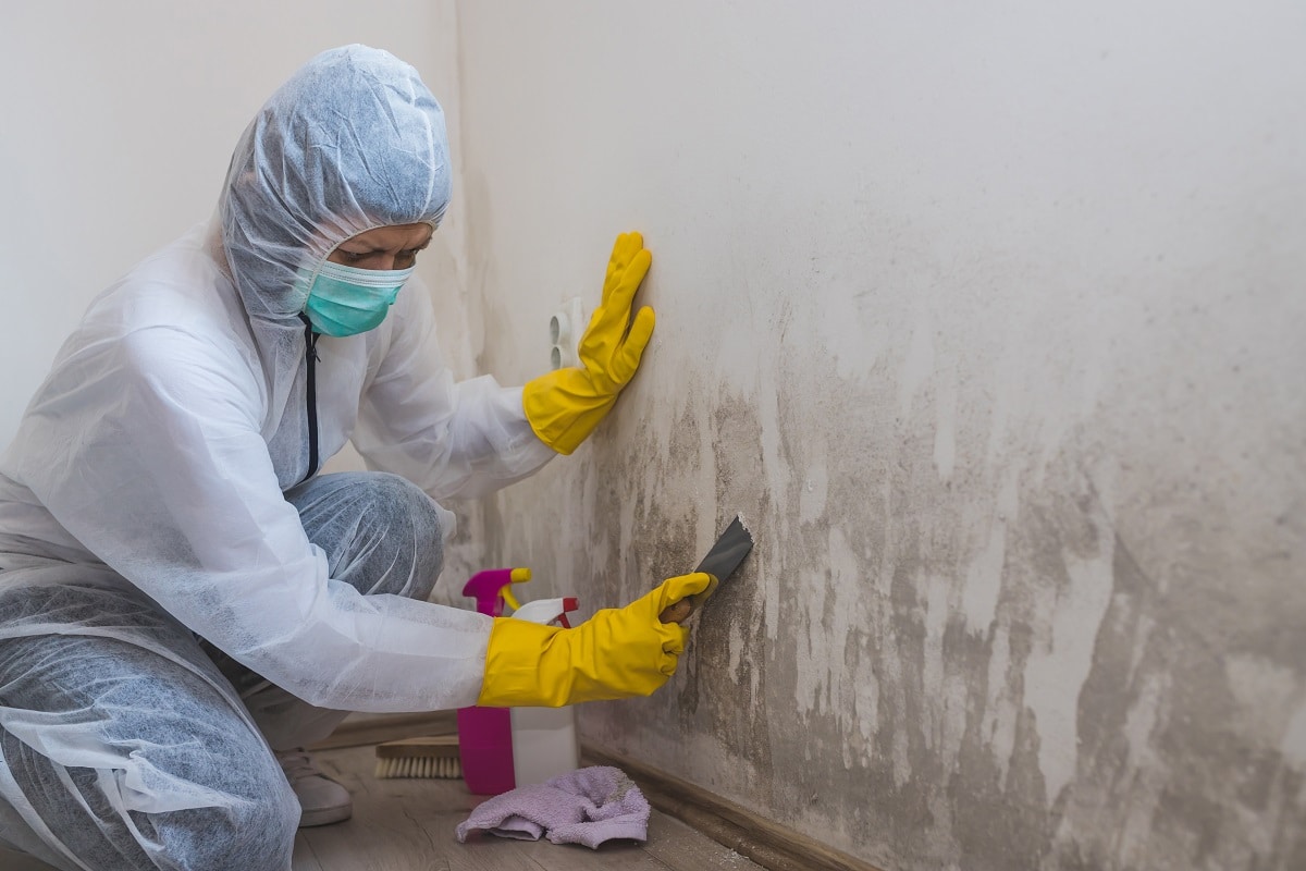 A Guide to Residential Restoration Services for Homeowners